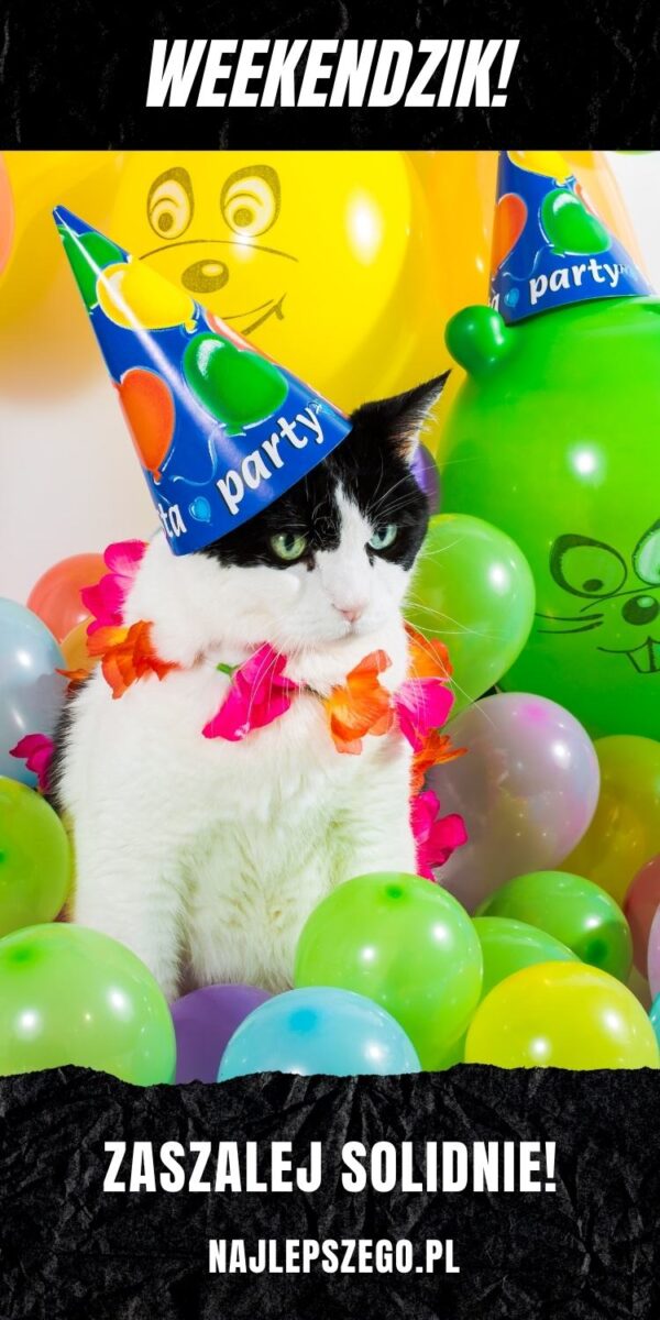 Miłego weekendu - śmieszne gify i kartki na udany weekend - Najlepszego!